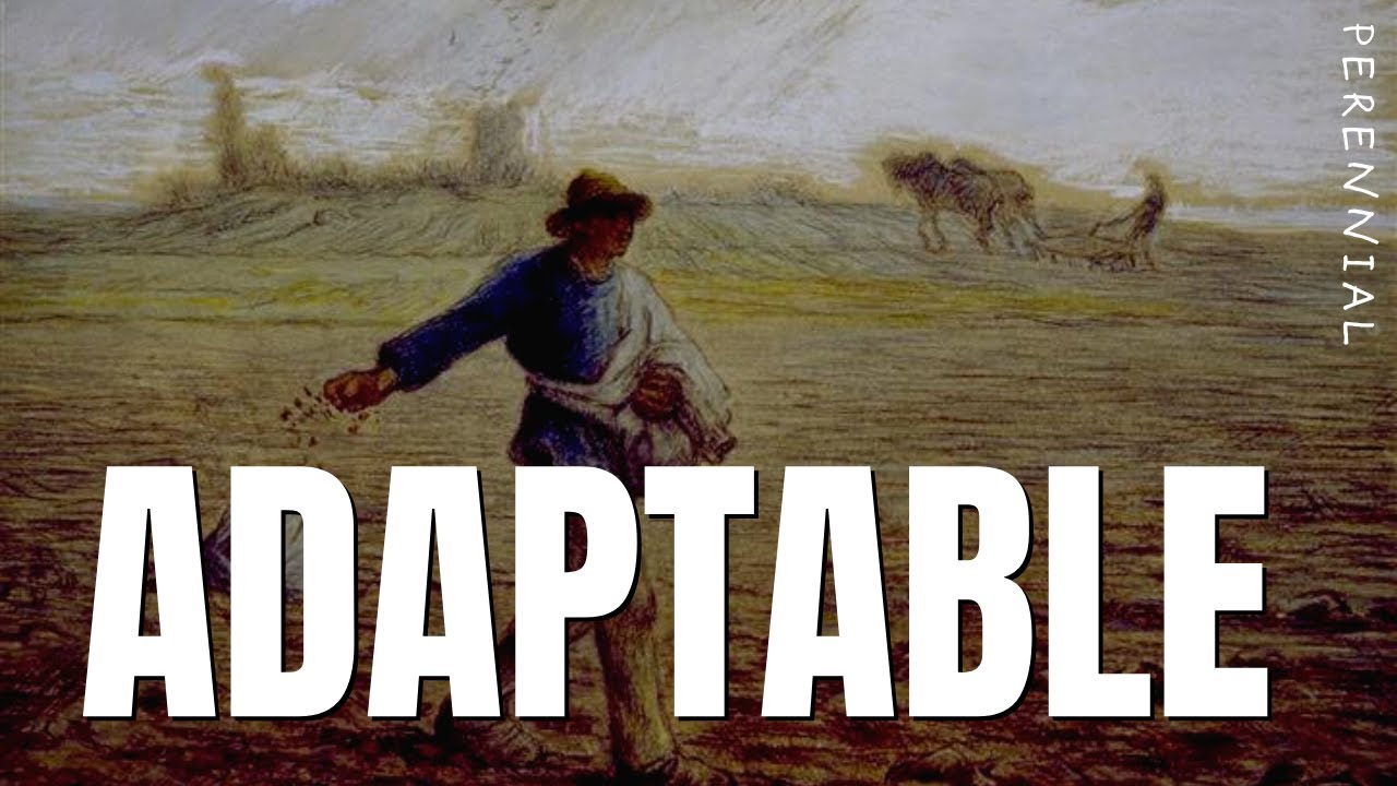 How do you adapt to every situation? - Game Voyage