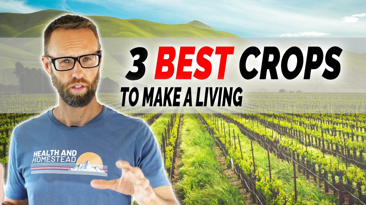What is the most profitable crop to grow? - Game Voyage