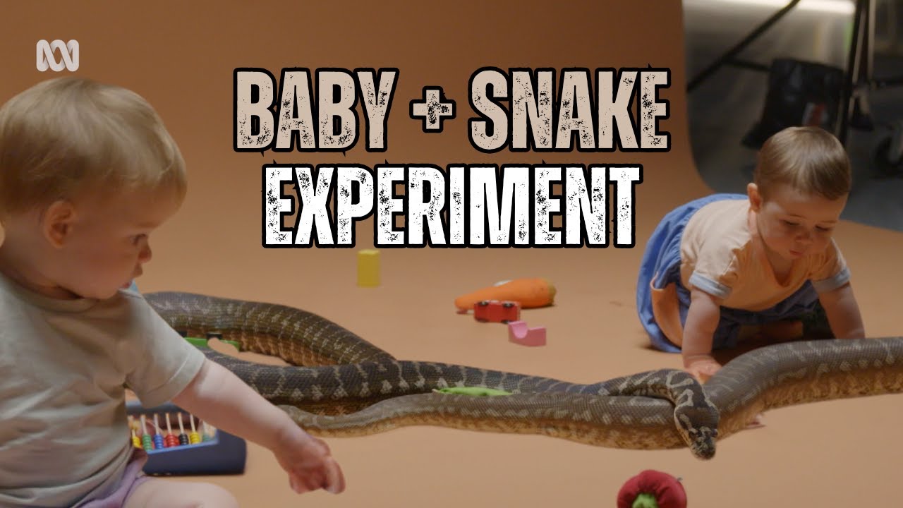 Why can't solid snakes have kids? - Game Voyage