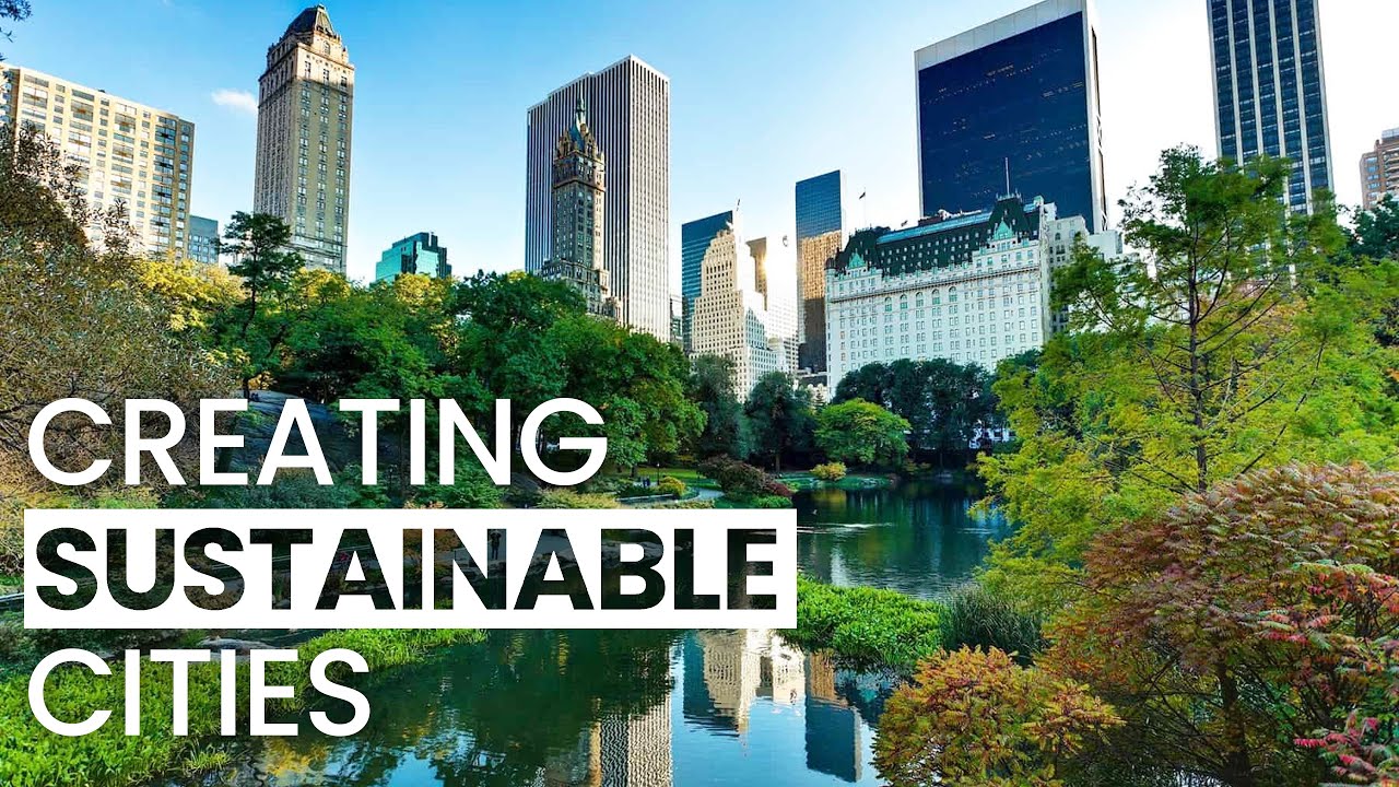 What is a real world example of cities successfully implementing these ...